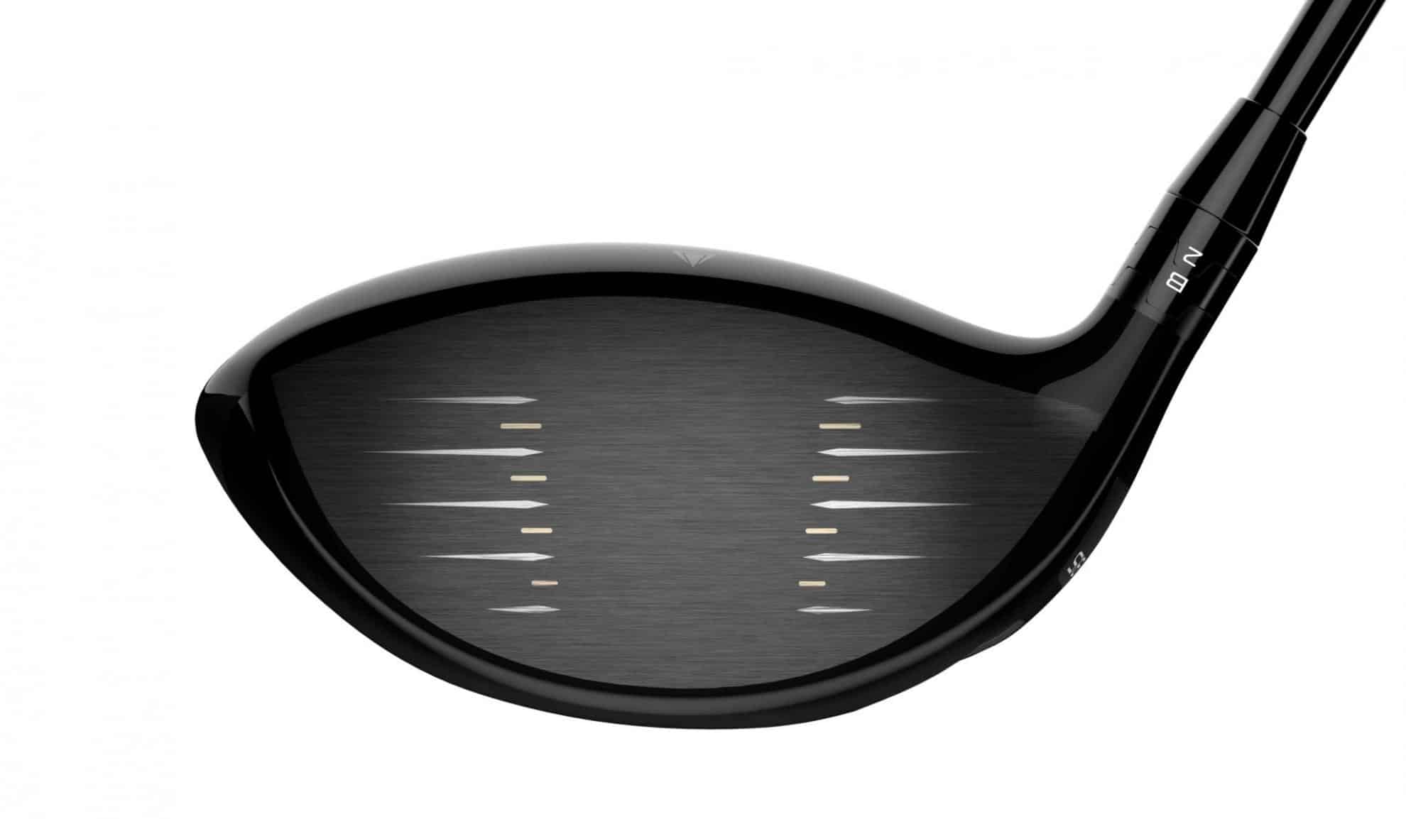 A TS2 Driver Face - Worldwide Golf