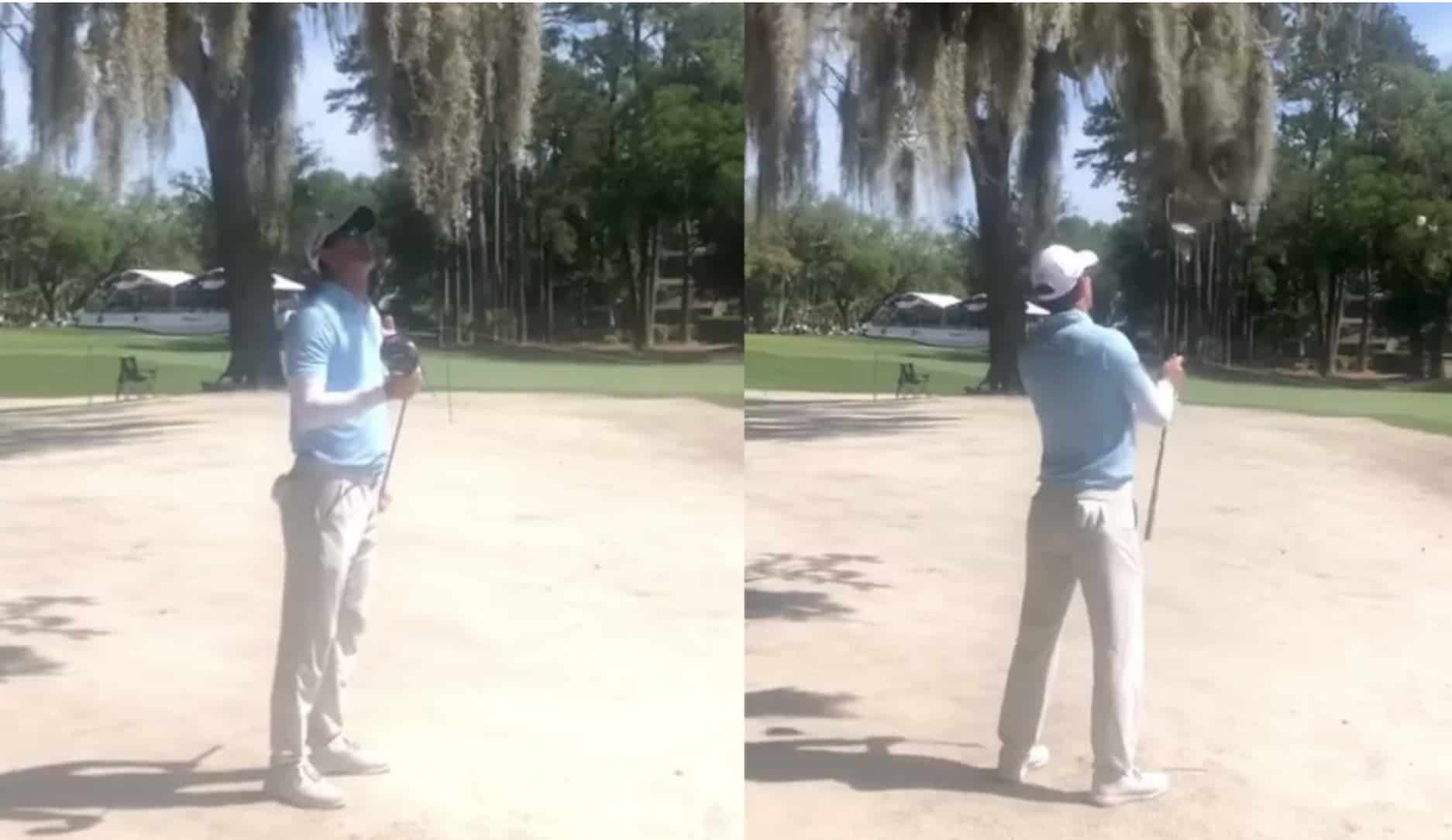 WATCH: Pro golfer hits ball out of tree